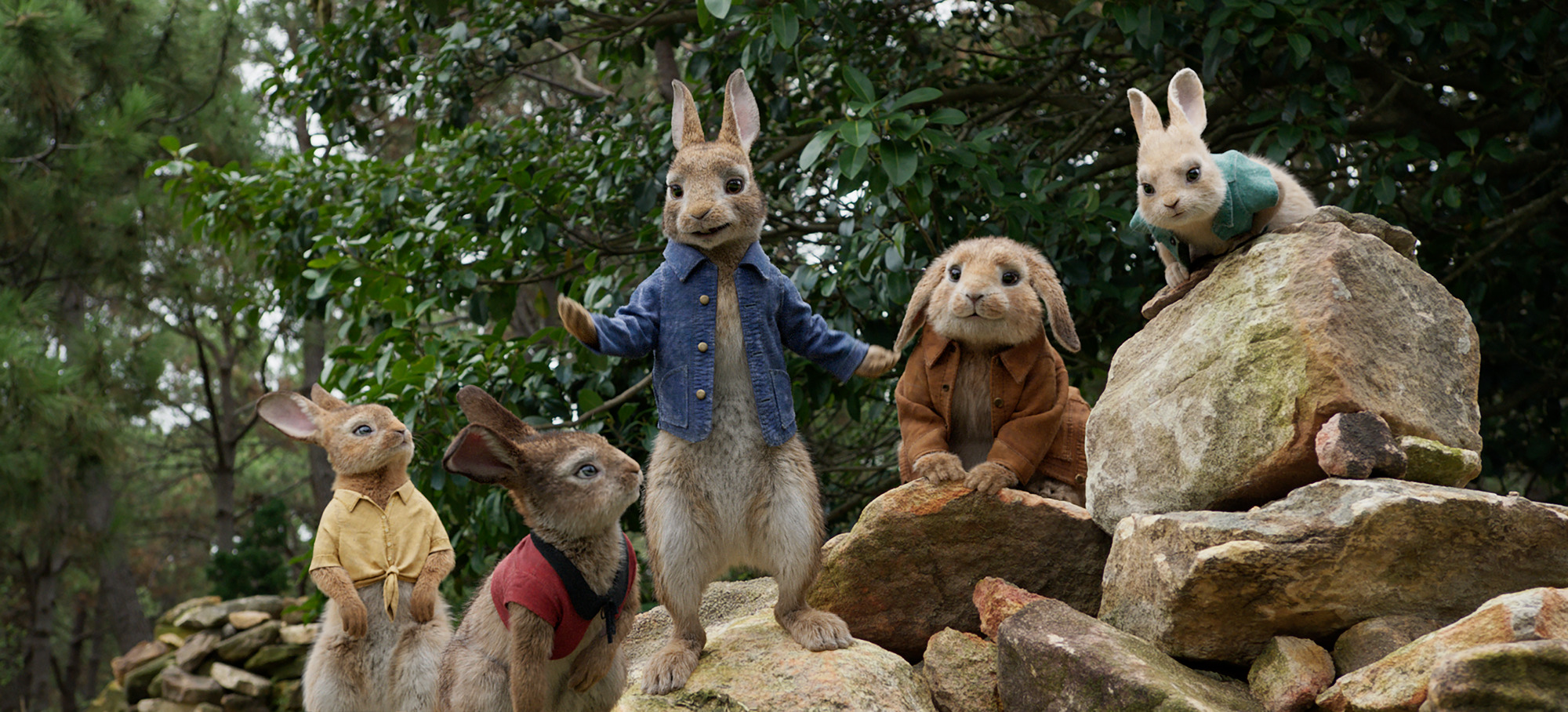 Peter Rabbit | Sony Pictures United Kingdom